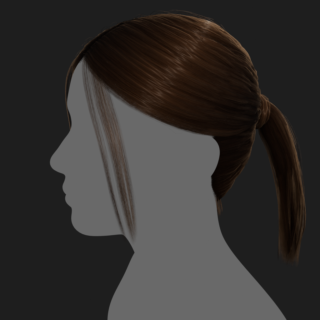 Female Ponytail Haircut | FREE Human Heads models | BlenderKit