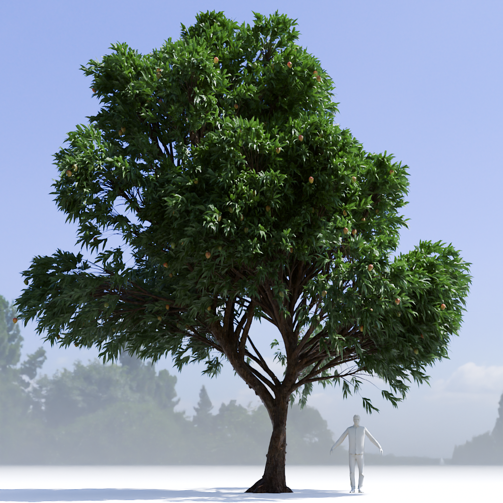 Mango Tree | Trees models | BlenderKit