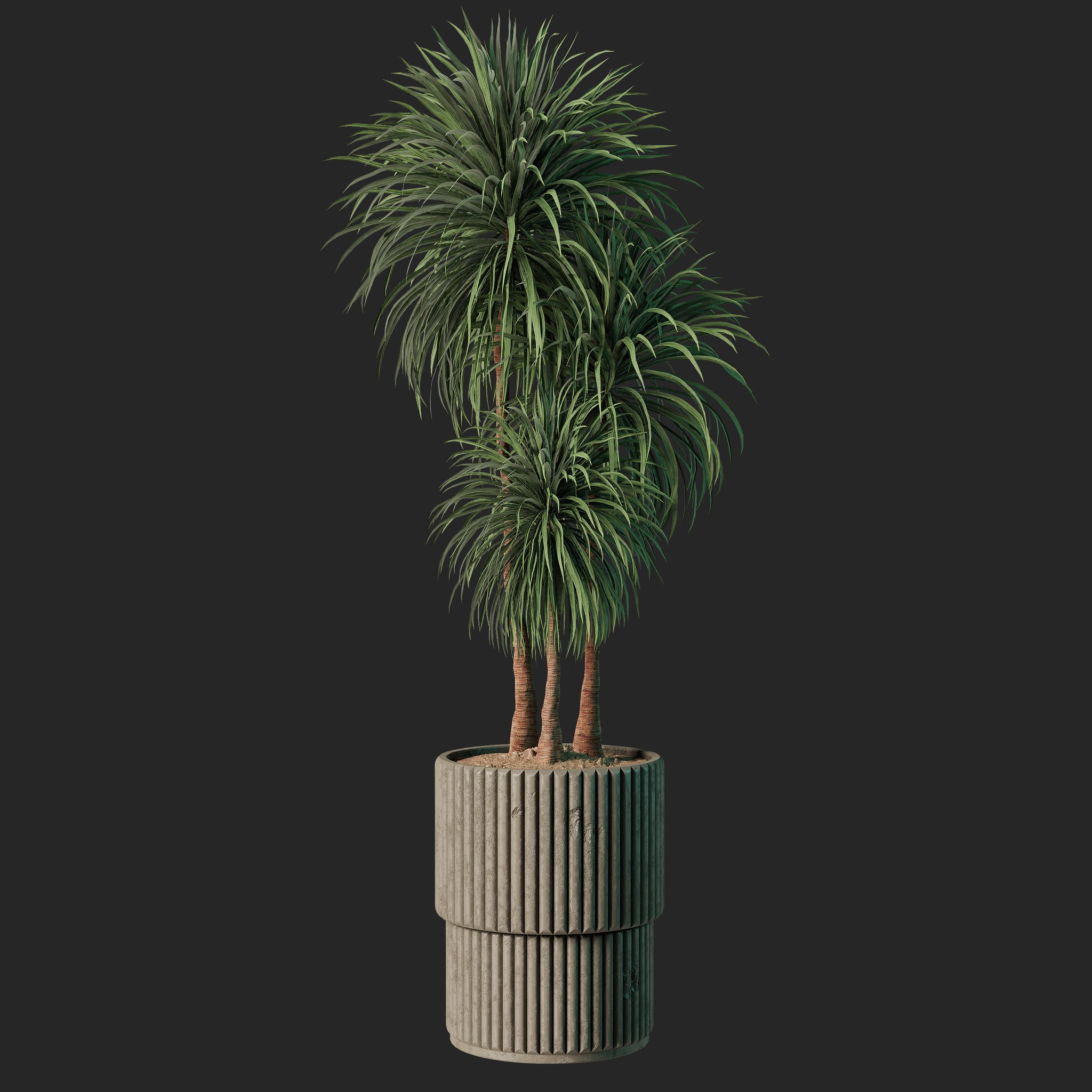 Plant | Indoor Plants models | BlenderKit