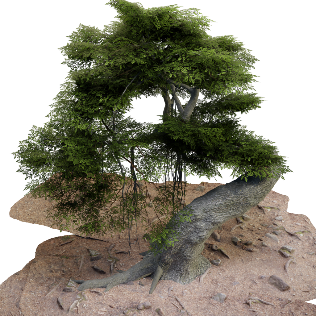 Tree | FREE Trees models | BlenderKit