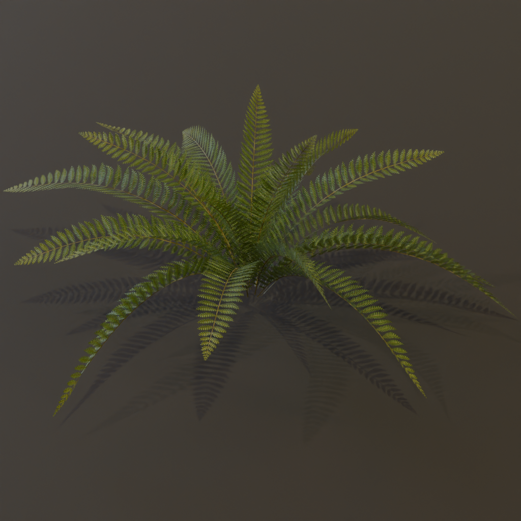 Wild Fern Medium Var | Outdoor Plants models | BlenderKit