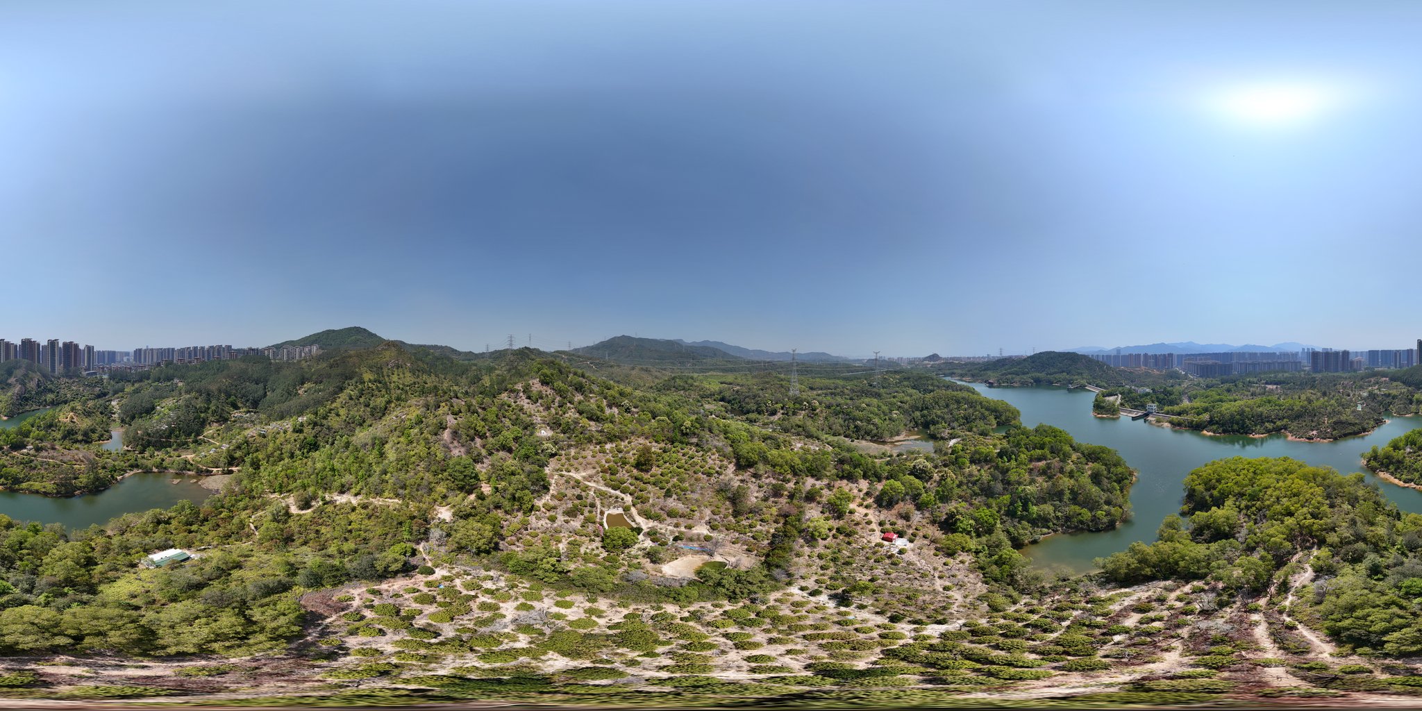 Green Forest Highsky BUilding | Nature HDRis | BlenderKit