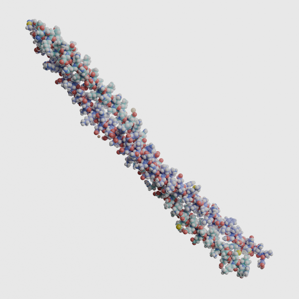 Keratin | Microbiology models | BlenderKit