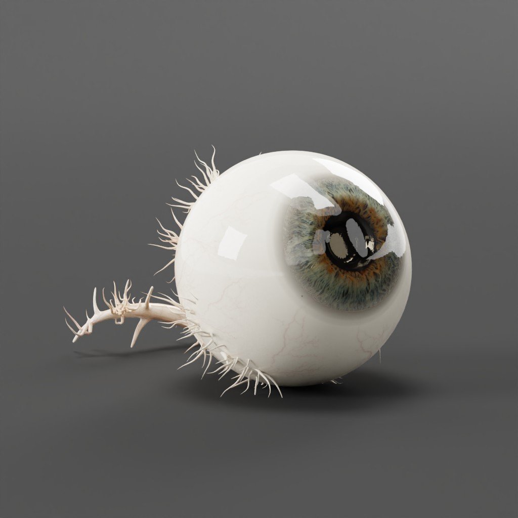 Stylized Human Lungs | FREE Internal Organs models | BlenderKit