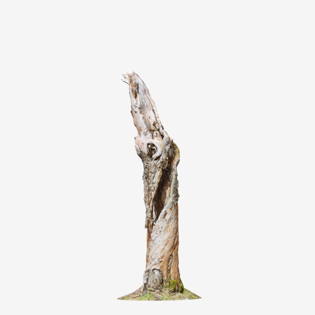 Dead Tree Stump PBR Scan | Trees models | BlenderKit