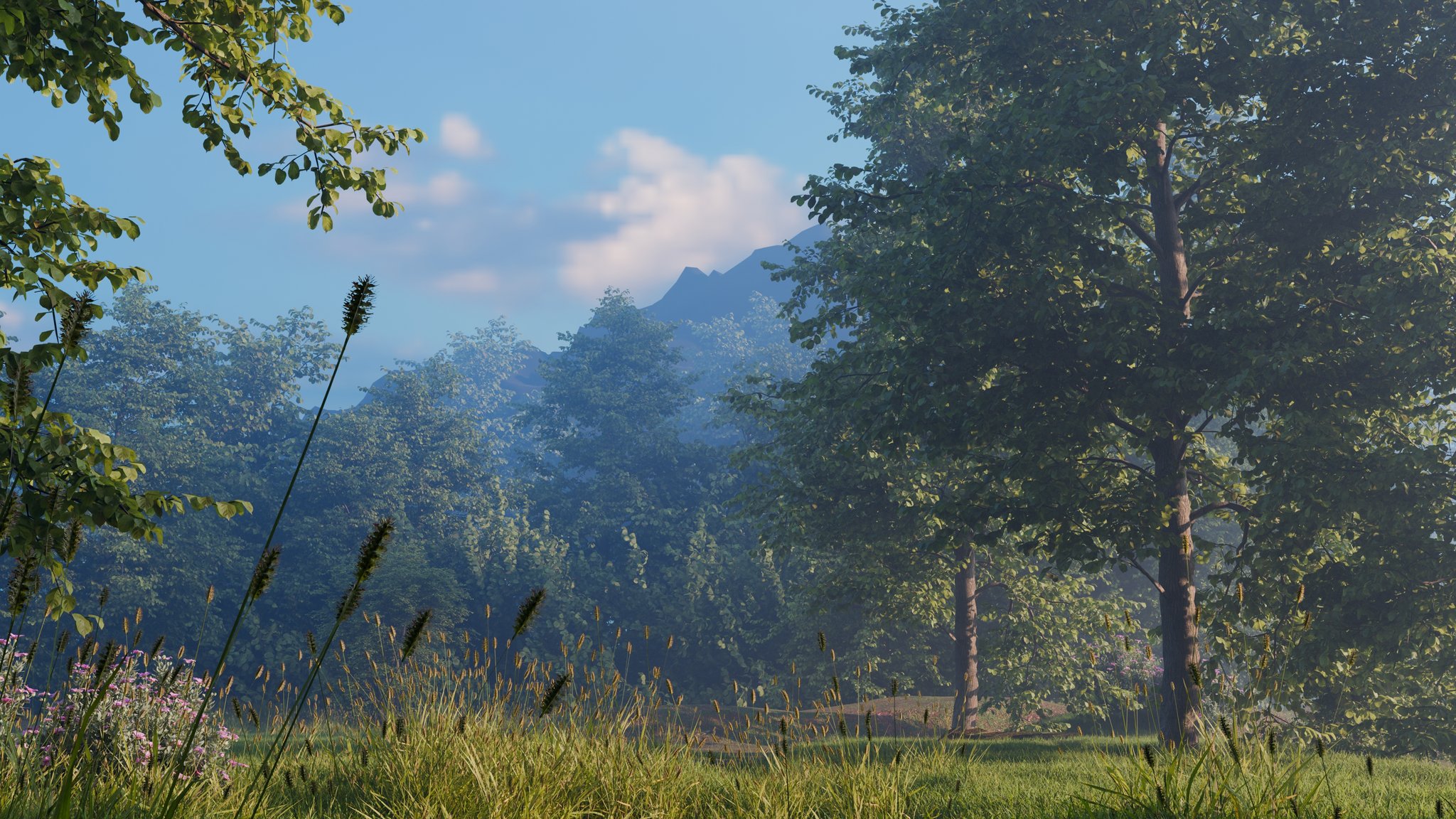 Green Forest Landscape | Nature scenes | BlenderKit