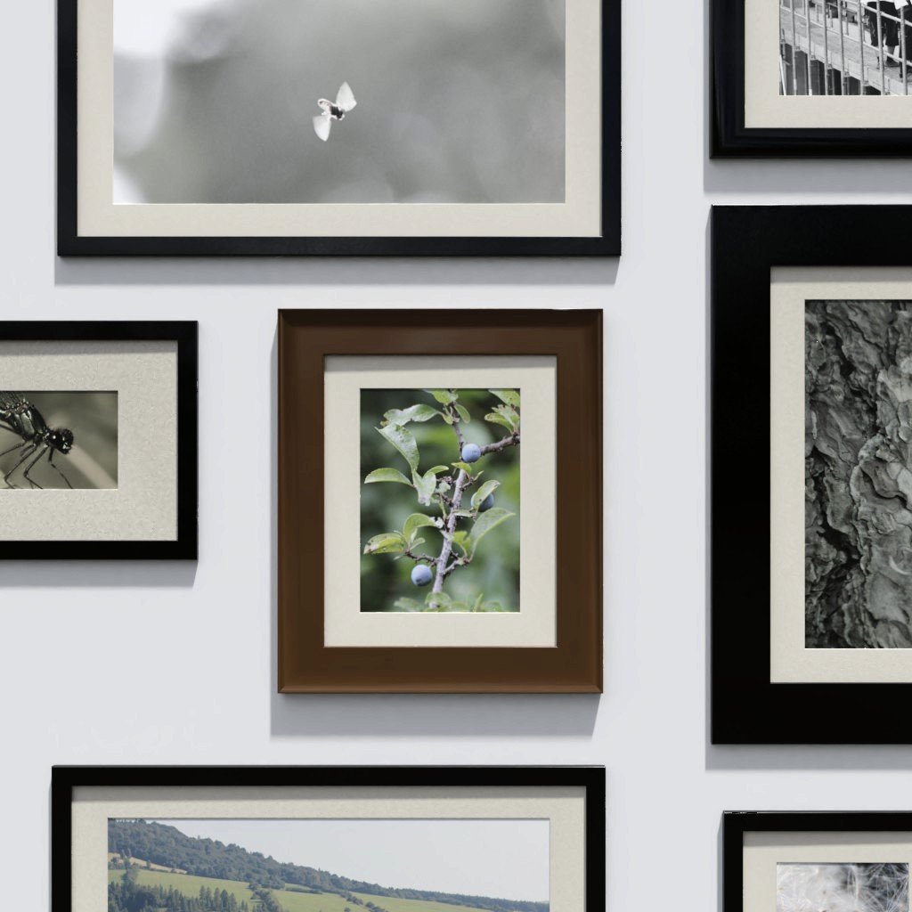 Photo frame 'anyframe' with forrest berries | FREE Decorative Pictures ...