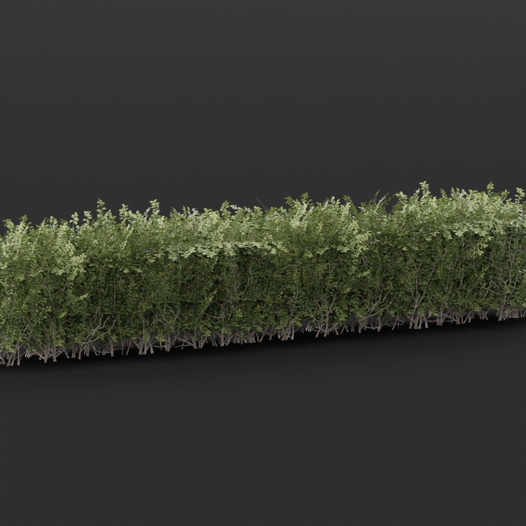 Boxwood Hedge 4M Variation | Outdoor Plants models | BlenderKit