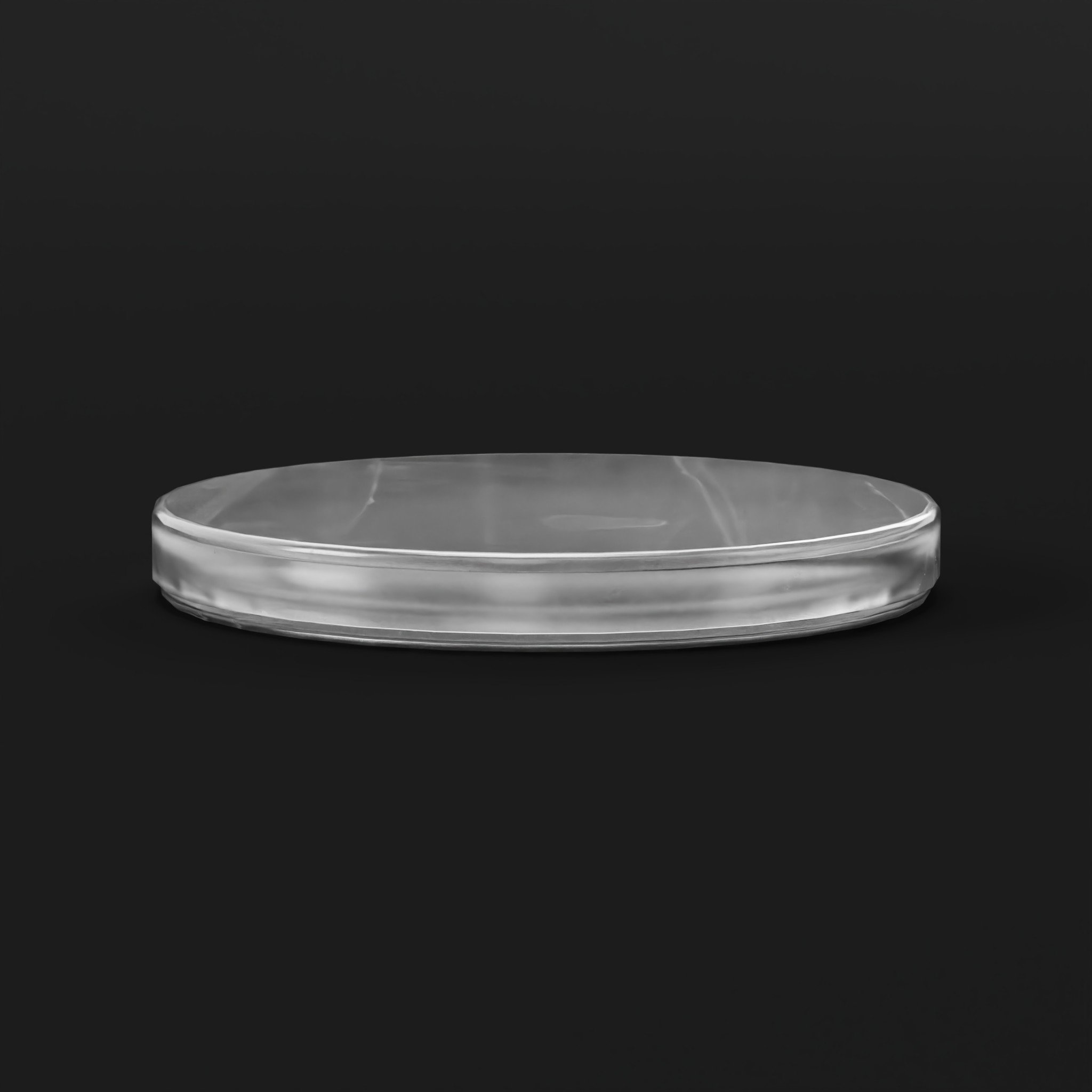 Petri Dish | Lab Equipment models | BlenderKit