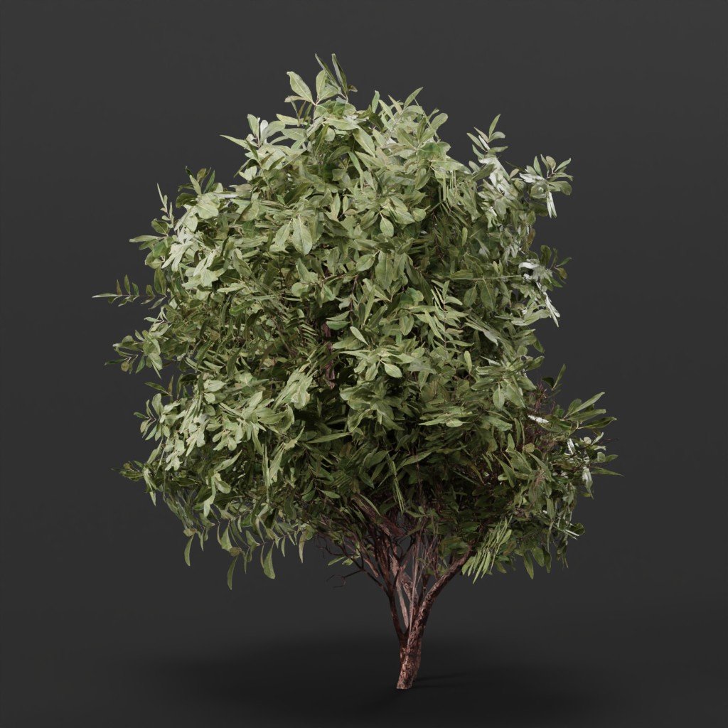 Button Bush Small | Outdoor Plants models | BlenderKit