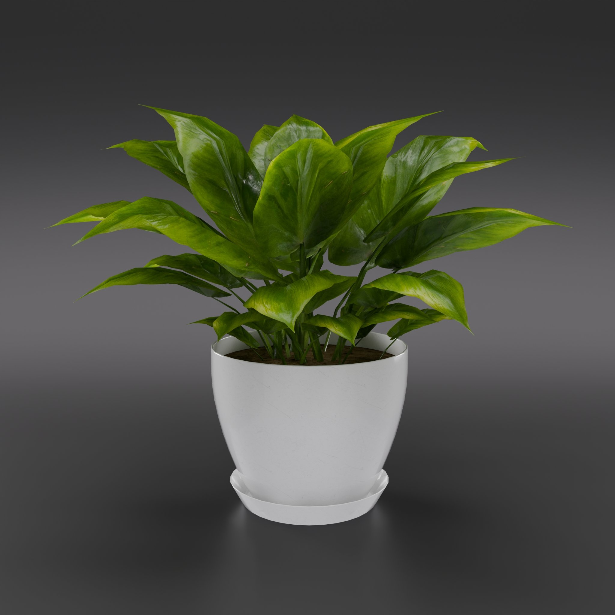 Golden Pothos House Plant | Indoor Plants models | BlenderKit