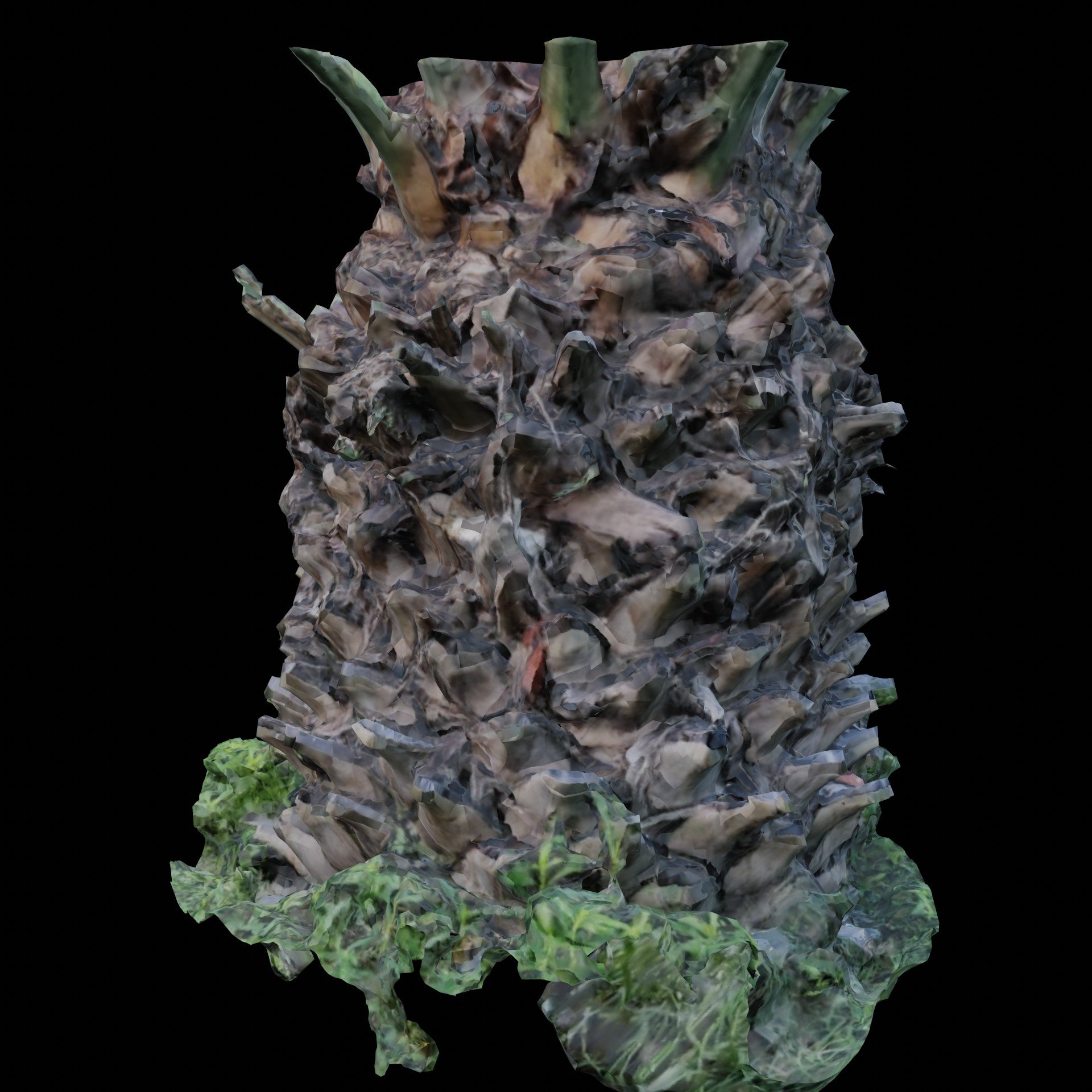 Palm tree | FREE Trees models | BlenderKit