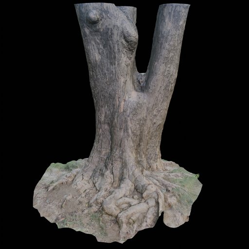 Tree | FREE Trees models | BlenderKit
