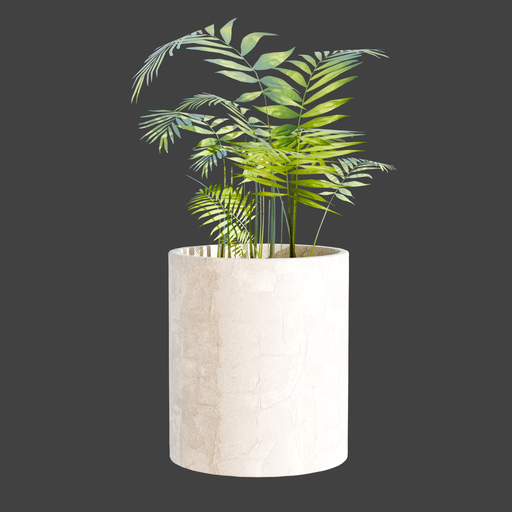 Parlor palm plant | Indoor Plants models | BlenderKit