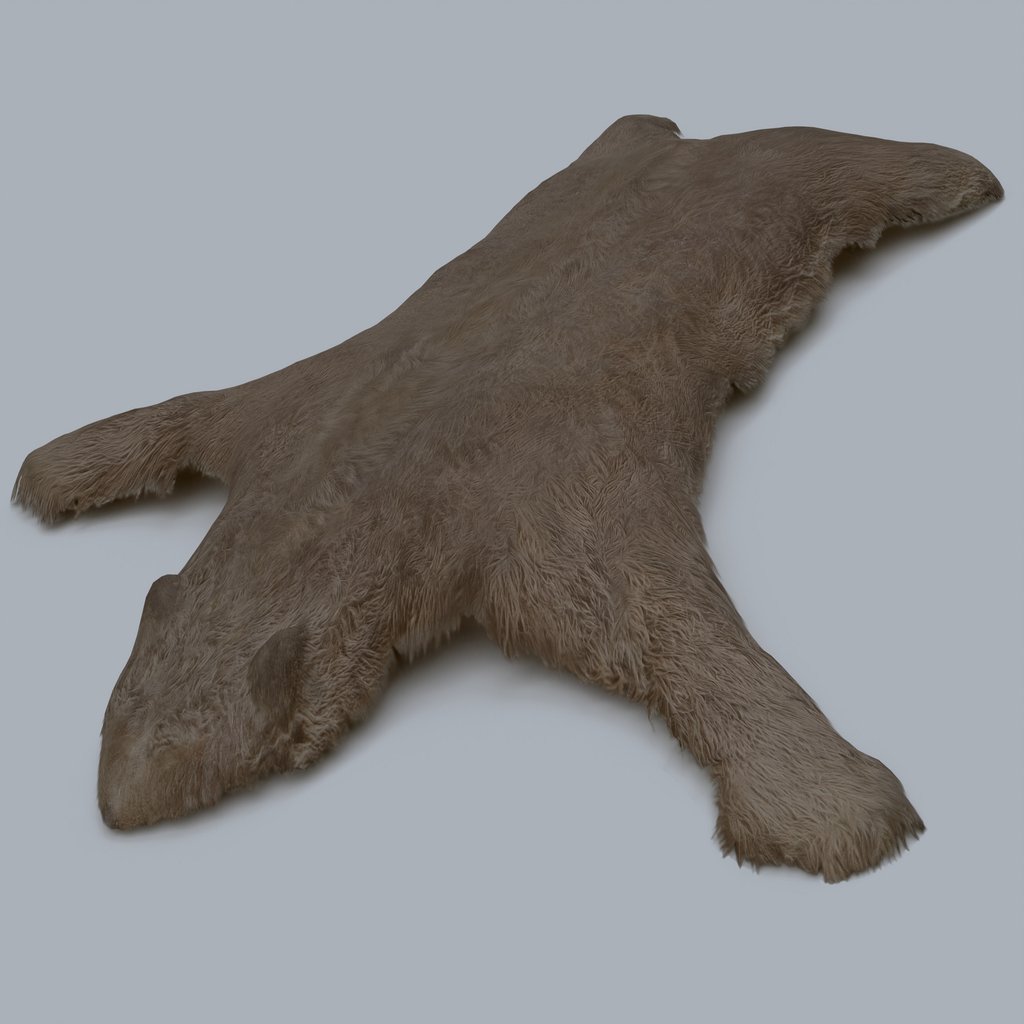 Bear Pelt | Mammals models | BlenderKit