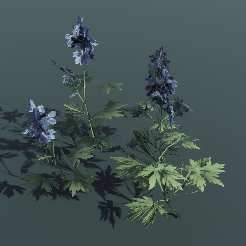 Plant Larkspur Small | Outdoor Plants models | BlenderKit