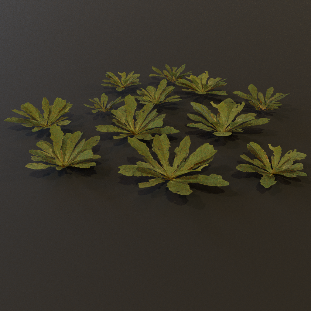 Ground Cover Grass GN | Outdoor Plants models | BlenderKit