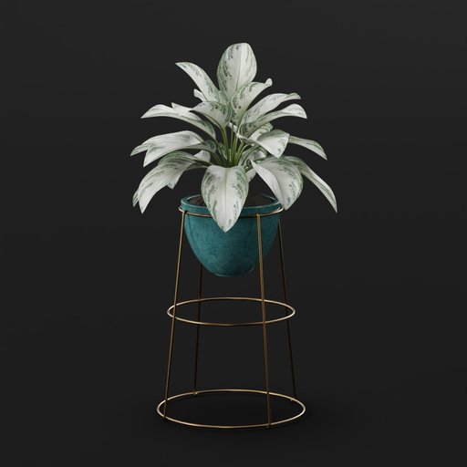 Aglaonema Gold Stand | Outdoor Plants models | BlenderKit