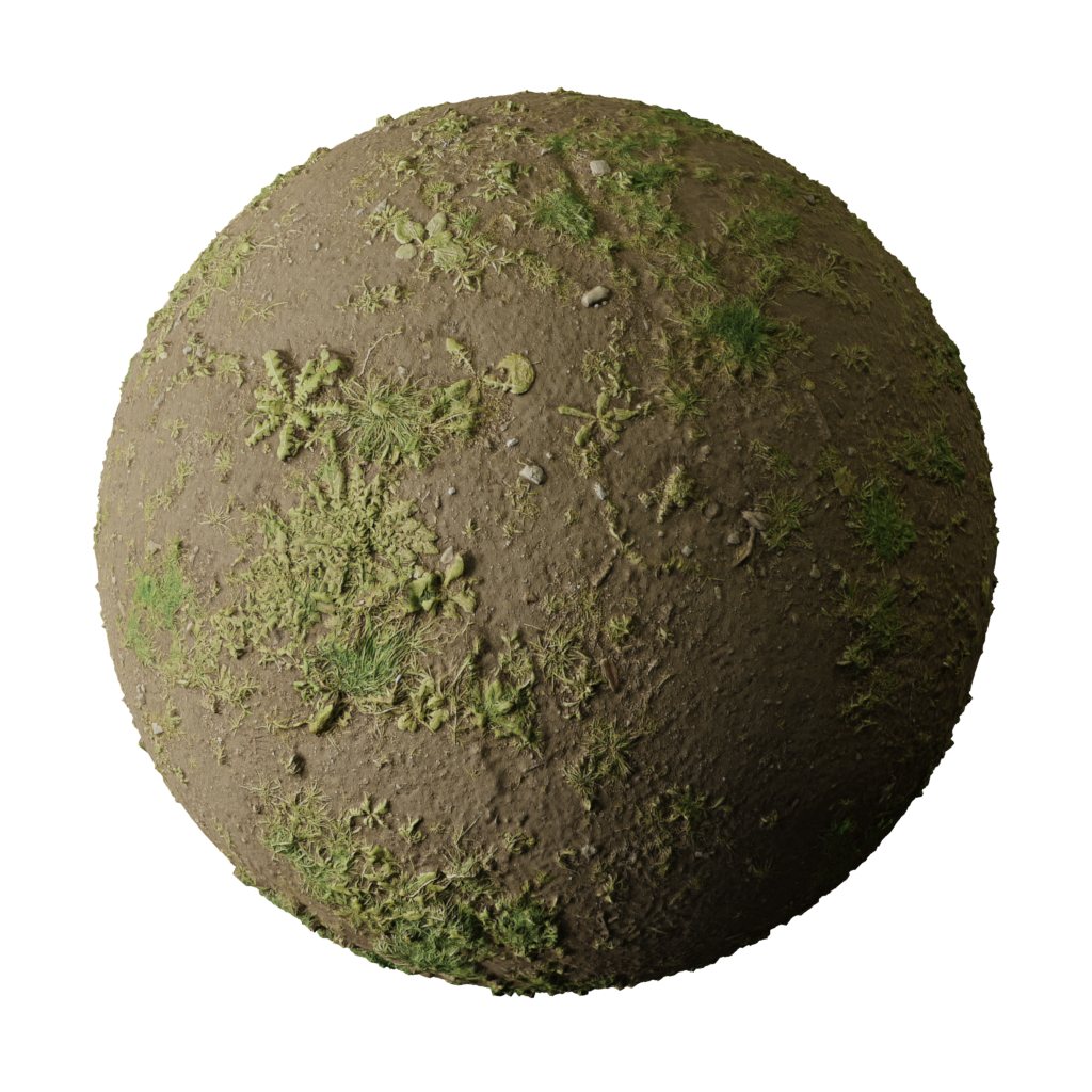 Grass Ground Dirt PBR Scan | FREE 3D ground materials | BlenderKit