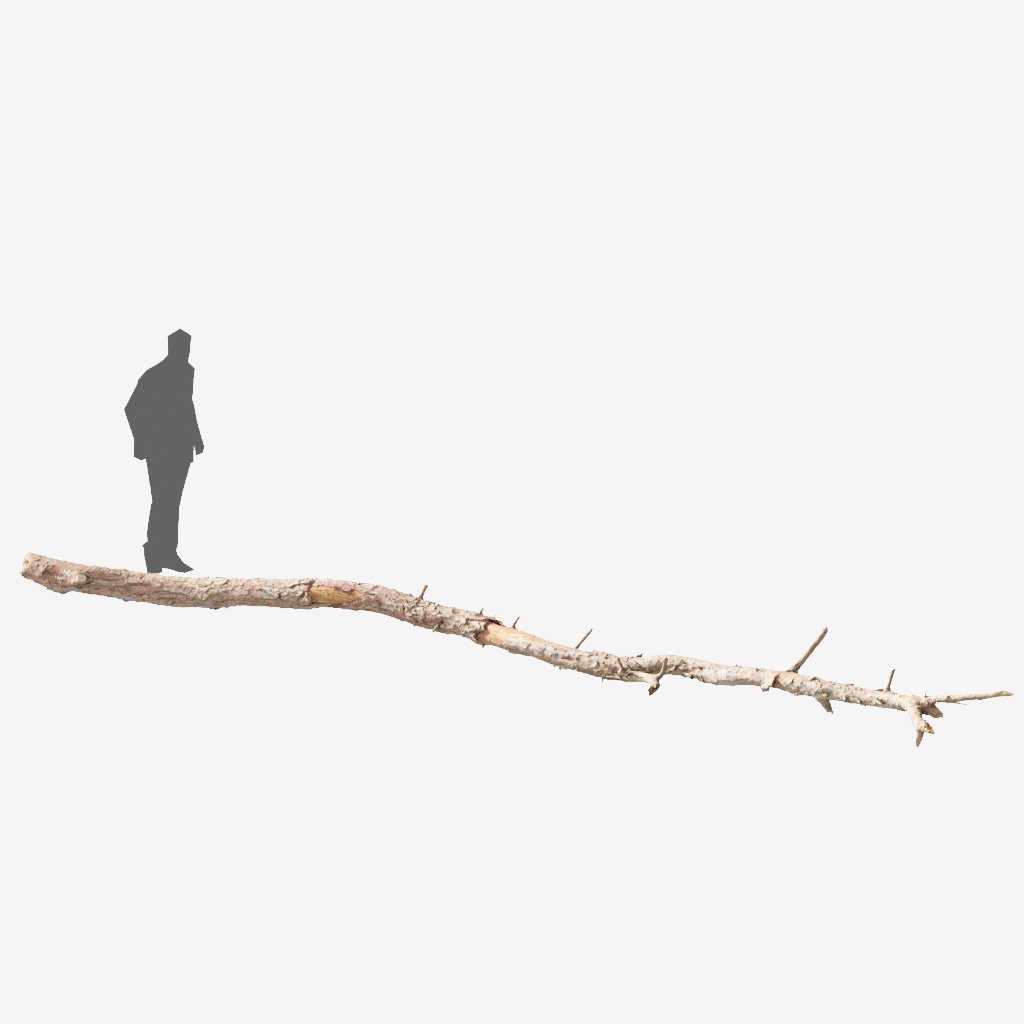 Pine Tree Fallen Trunk PBR Scan 01 | Trees models | BlenderKit