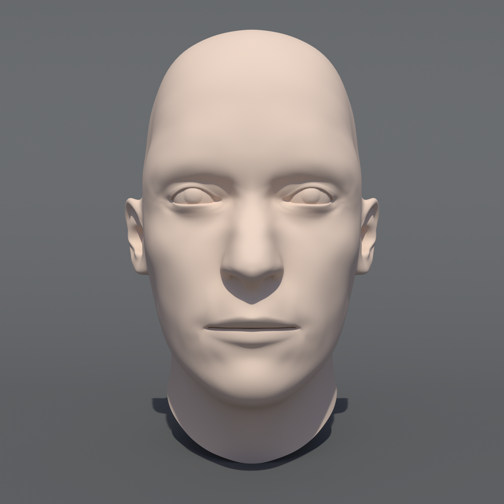 BlenderKit | Download the Caucasian Man Head Base Mesh model