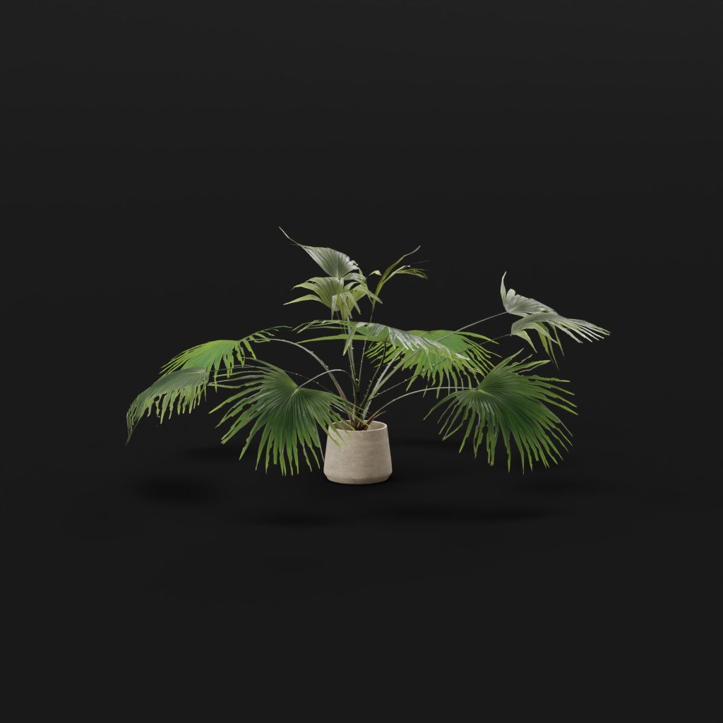 Fan Palm Wide Potted | Indoor Plants models | BlenderKit