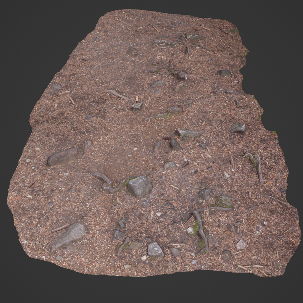 Ground in Forest | FREE Environment Elements models | BlenderKit