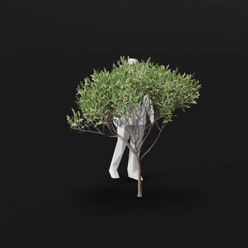 Olive Tree City Small | Trees models | BlenderKit