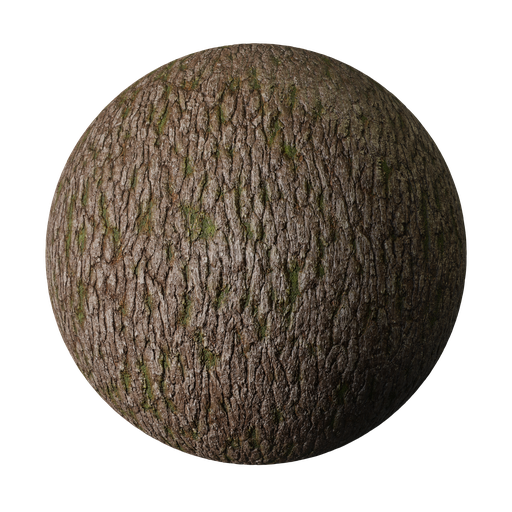 Tree bark with moss | FREE wood materials | BlenderKit