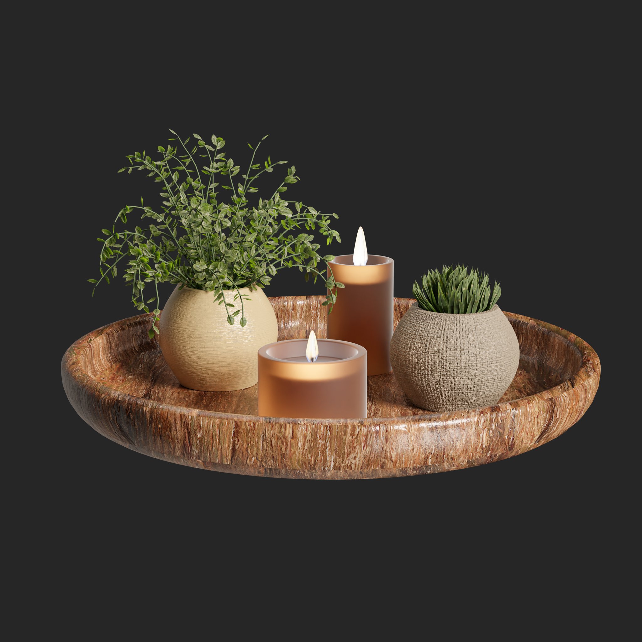 Plant | Indoor Plants models | BlenderKit