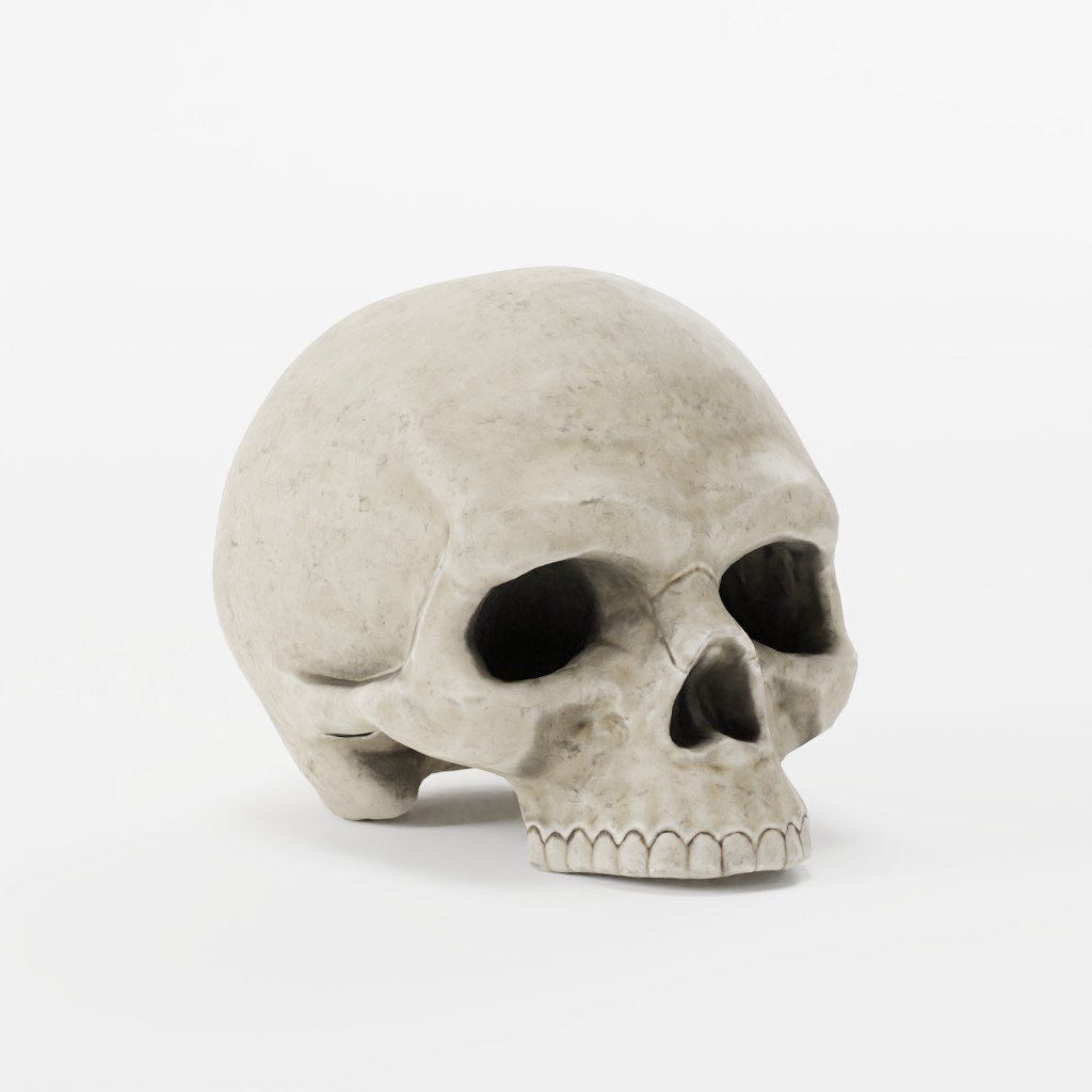 PBR Skull upper part | Human Skeletons models | BlenderKit