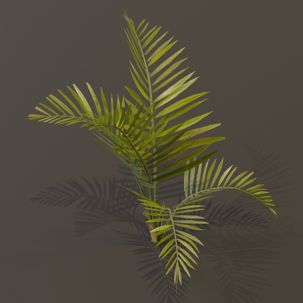 Alexandra Palm Plant Small Var | Outdoor Plants models | BlenderKit