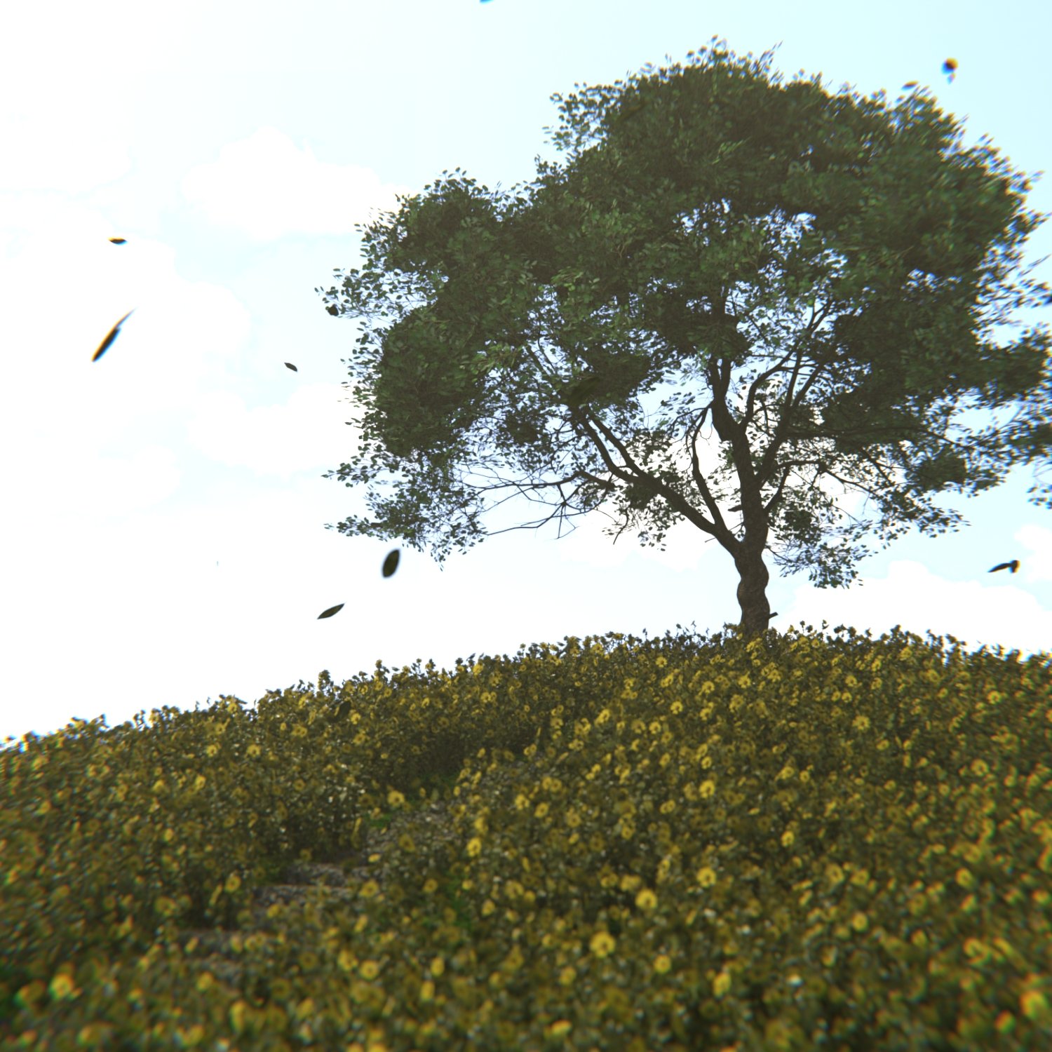 Windy Hill | Nature scenes | BlenderKit