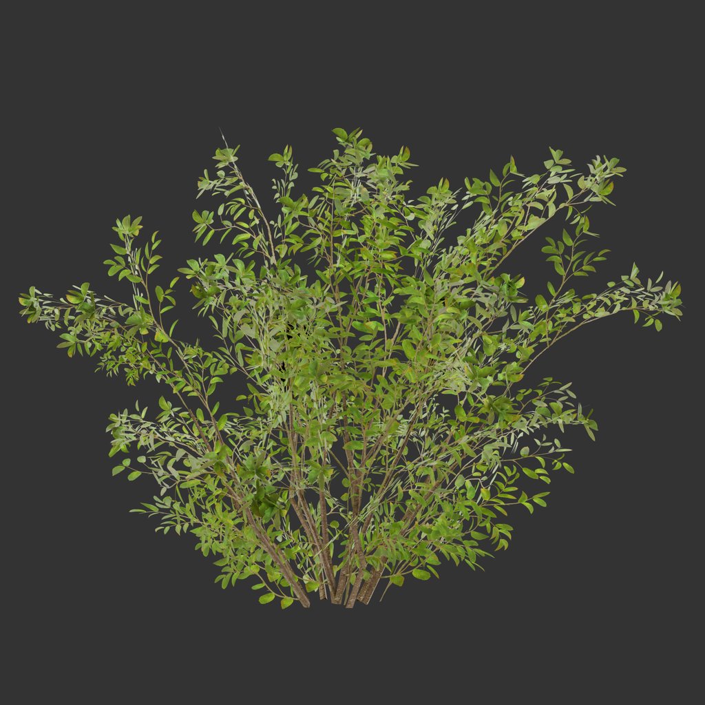 AQ-Simple Summer Bush-Game Ready 01 | Outdoor Plants models | BlenderKit