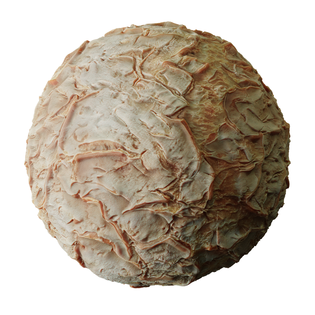 Bread crust | FREE food materials | BlenderKit