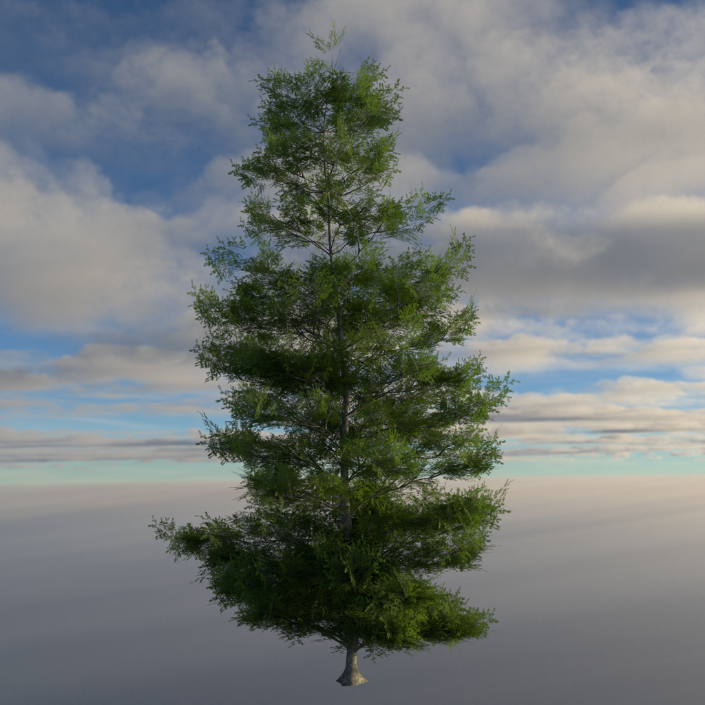 Evergreen Tree 2 | Trees models | BlenderKit