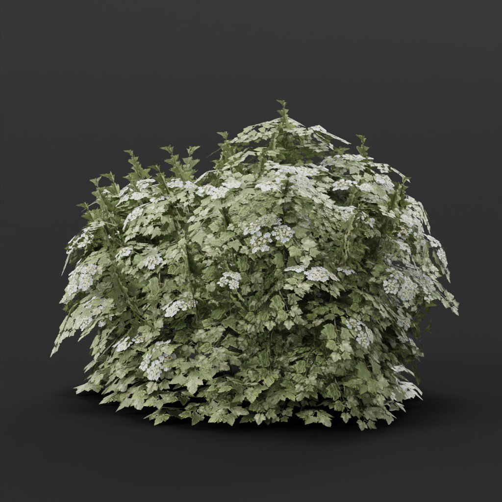 Procedural Ivy Generator GN | FREE Outdoor Plants models | BlenderKit