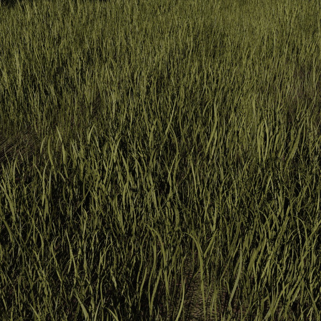 Wild Grass Animated | FREE Grass models | BlenderKit