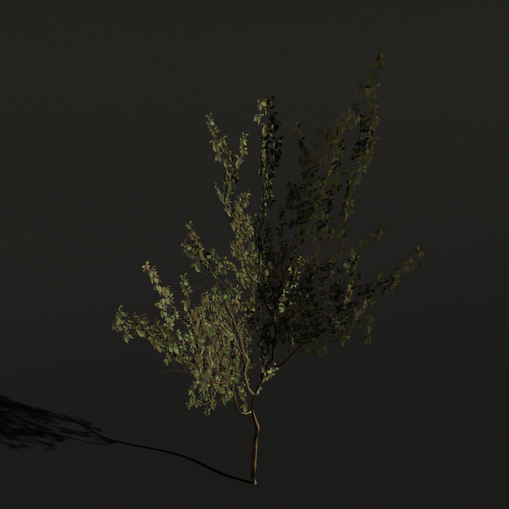 Creepers Vine a1 | Trees models | BlenderKit