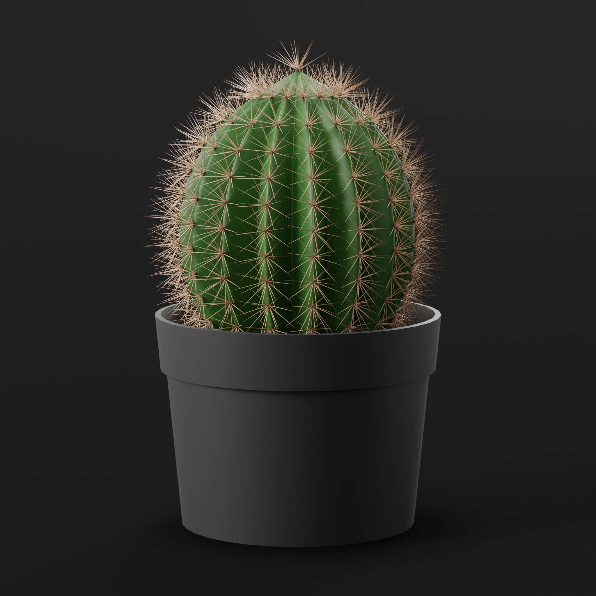 Customizable Cactus (Geometry Nodes) | FREE Indoor Plants models ...