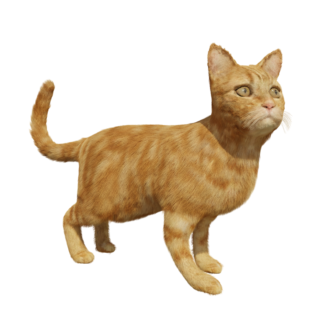 Cat Animated | Mammals models | BlenderKit