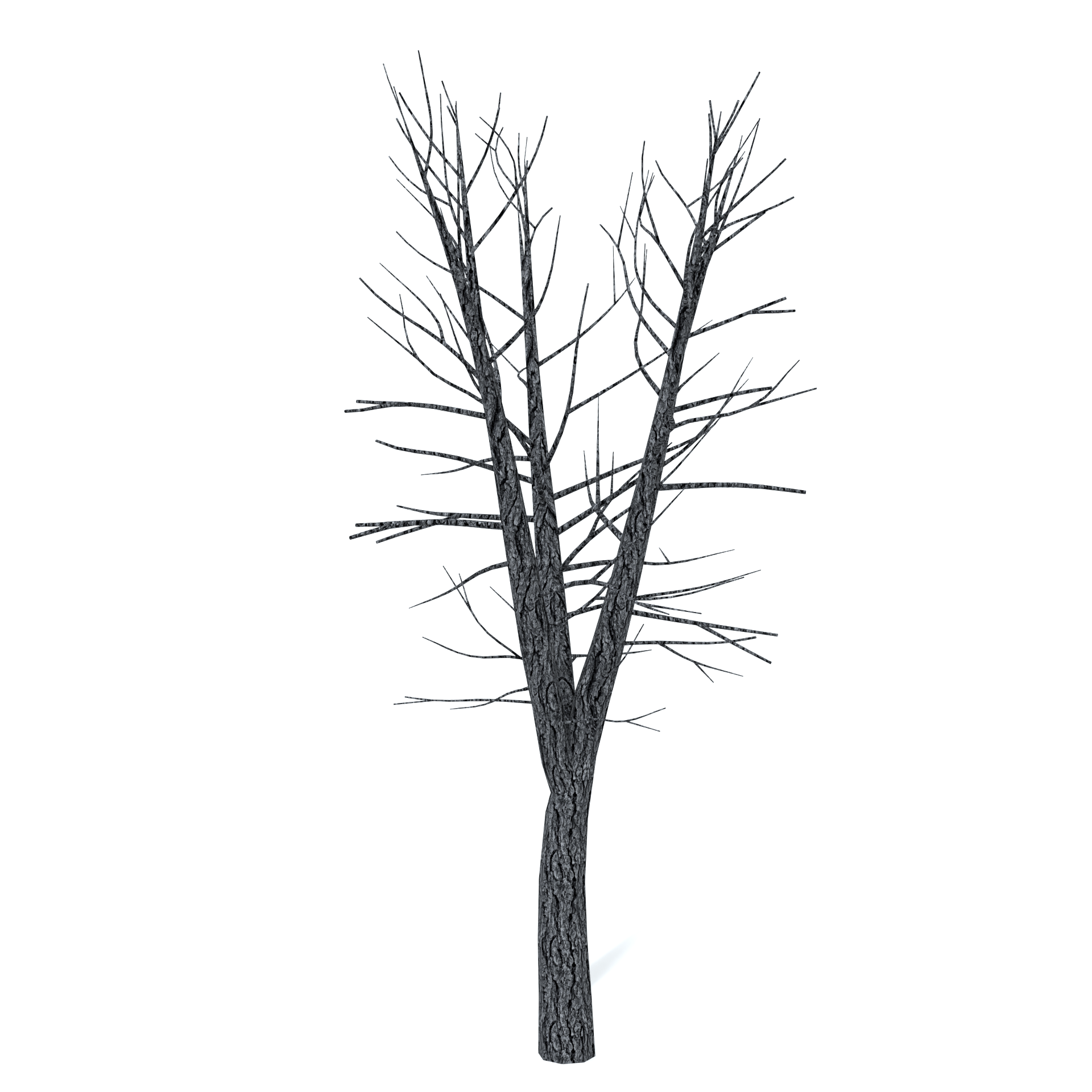 Burned Tree | Trees models | BlenderKit