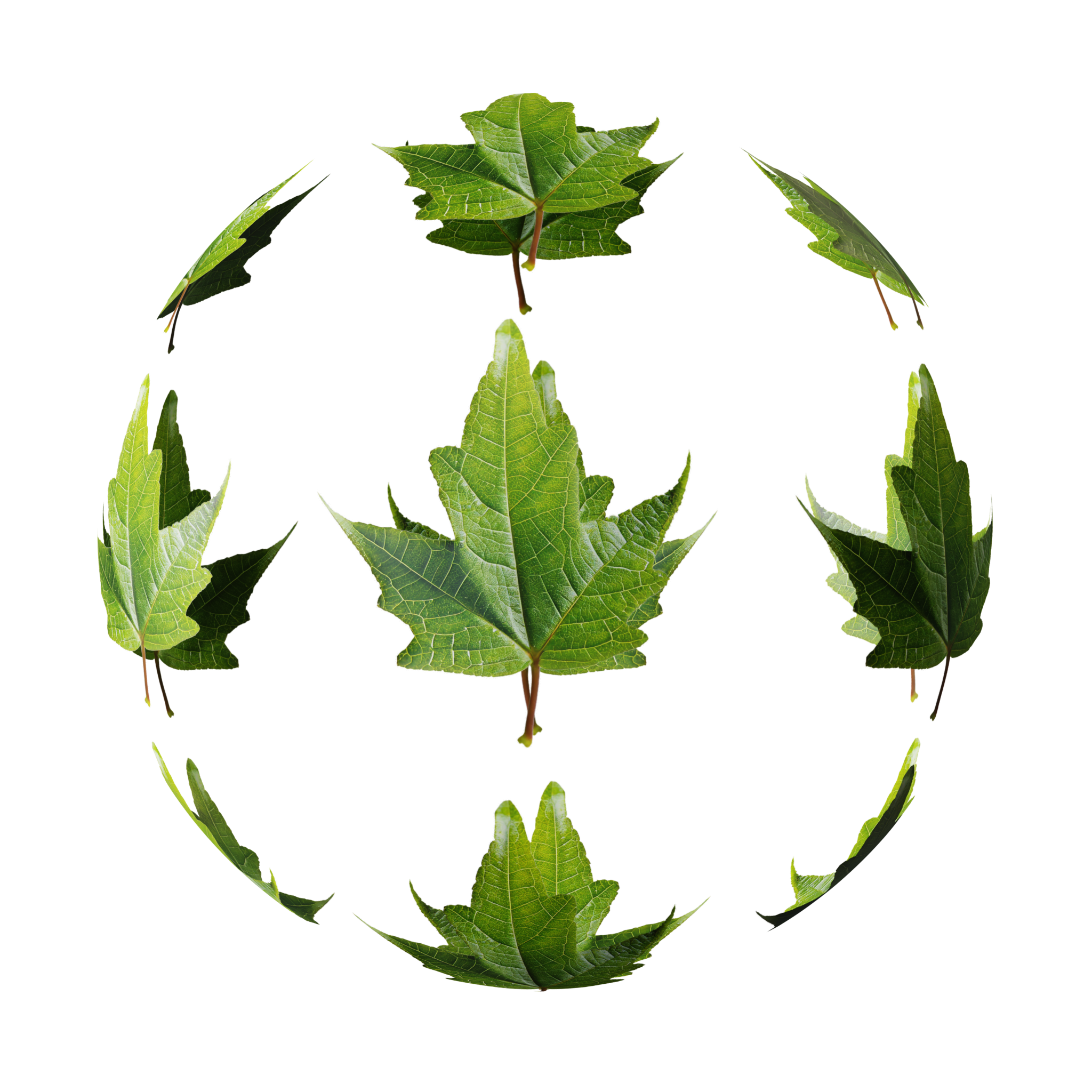 Leaf 1 | FREE grass materials | BlenderKit
