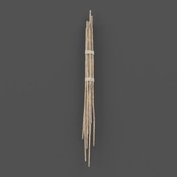 BlenderKit | Download the Birch rod model
