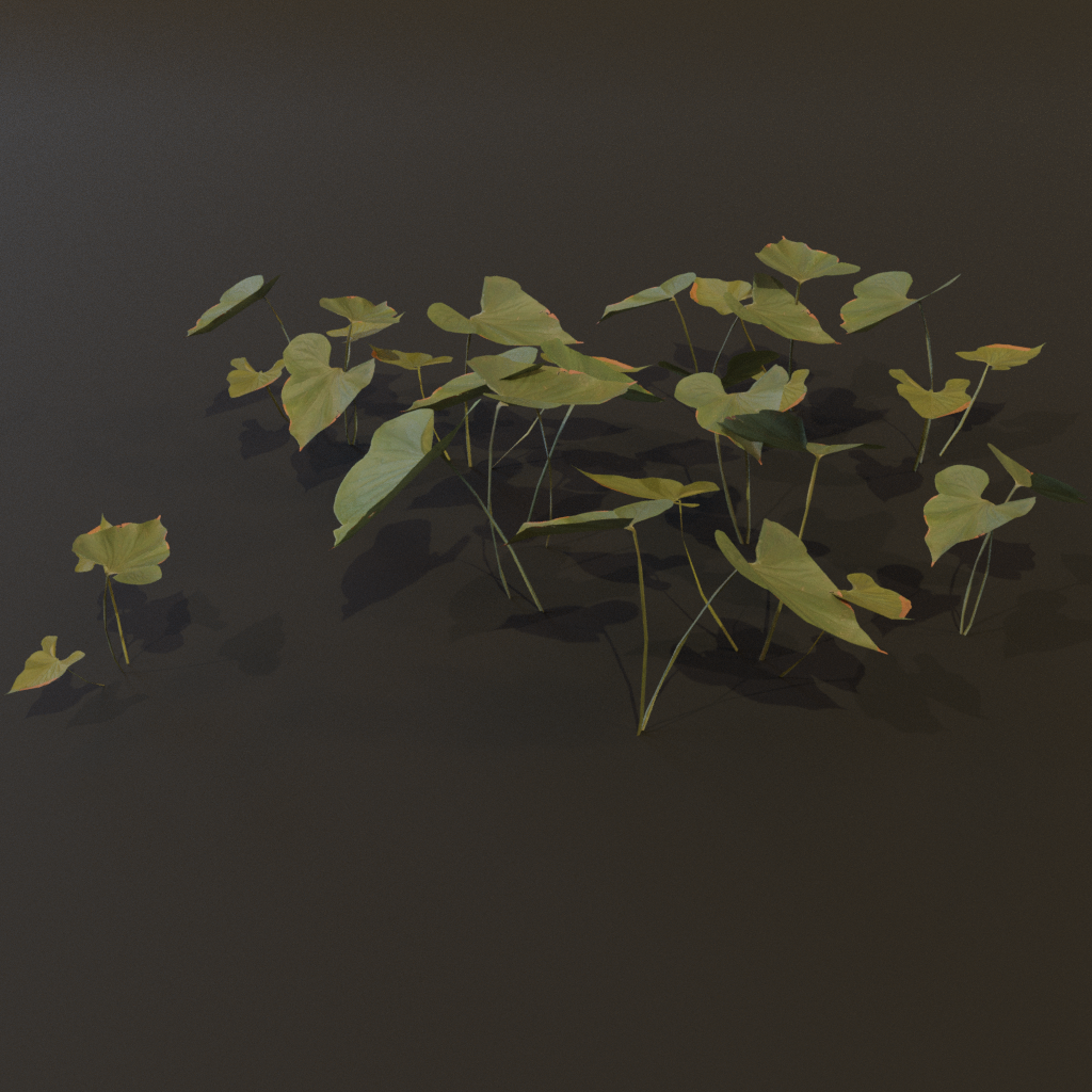 Ground Cover Big Leaves GN | Outdoor Plants models | BlenderKit