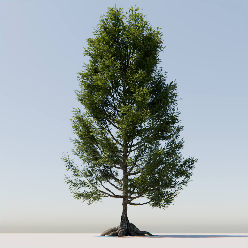 Tree 09 | Trees models | BlenderKit