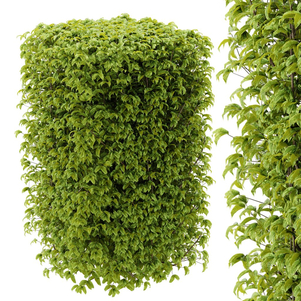 hedge cubic plant 96 | Green Walls models | BlenderKit