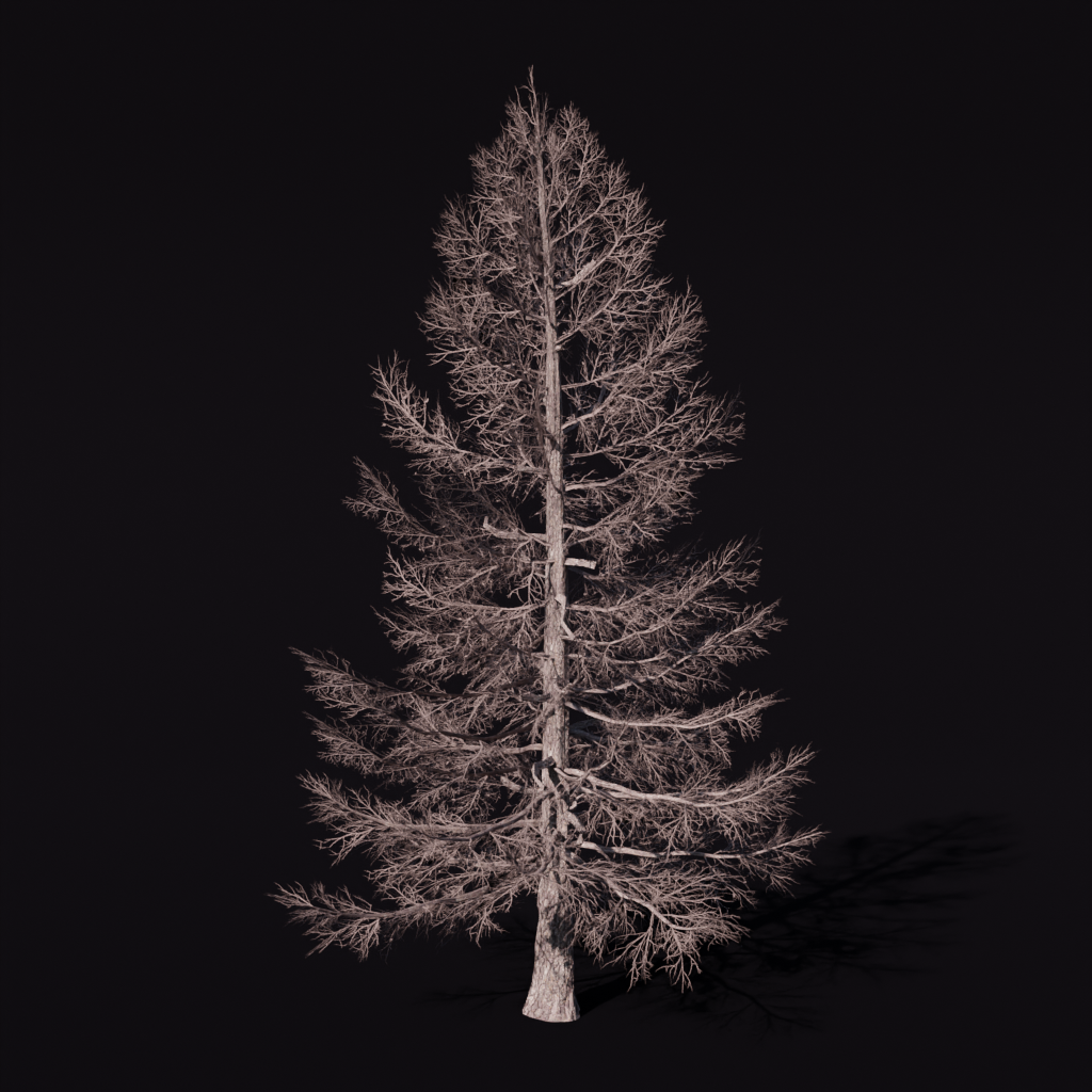 Tree LarchSiberian Bare a1 | Trees models | BlenderKit