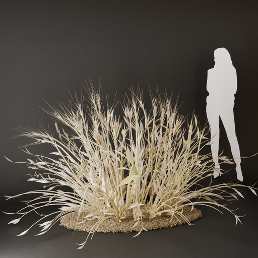 SJ Dried Classy Bush Decor | Outdoor Plants models | BlenderKit