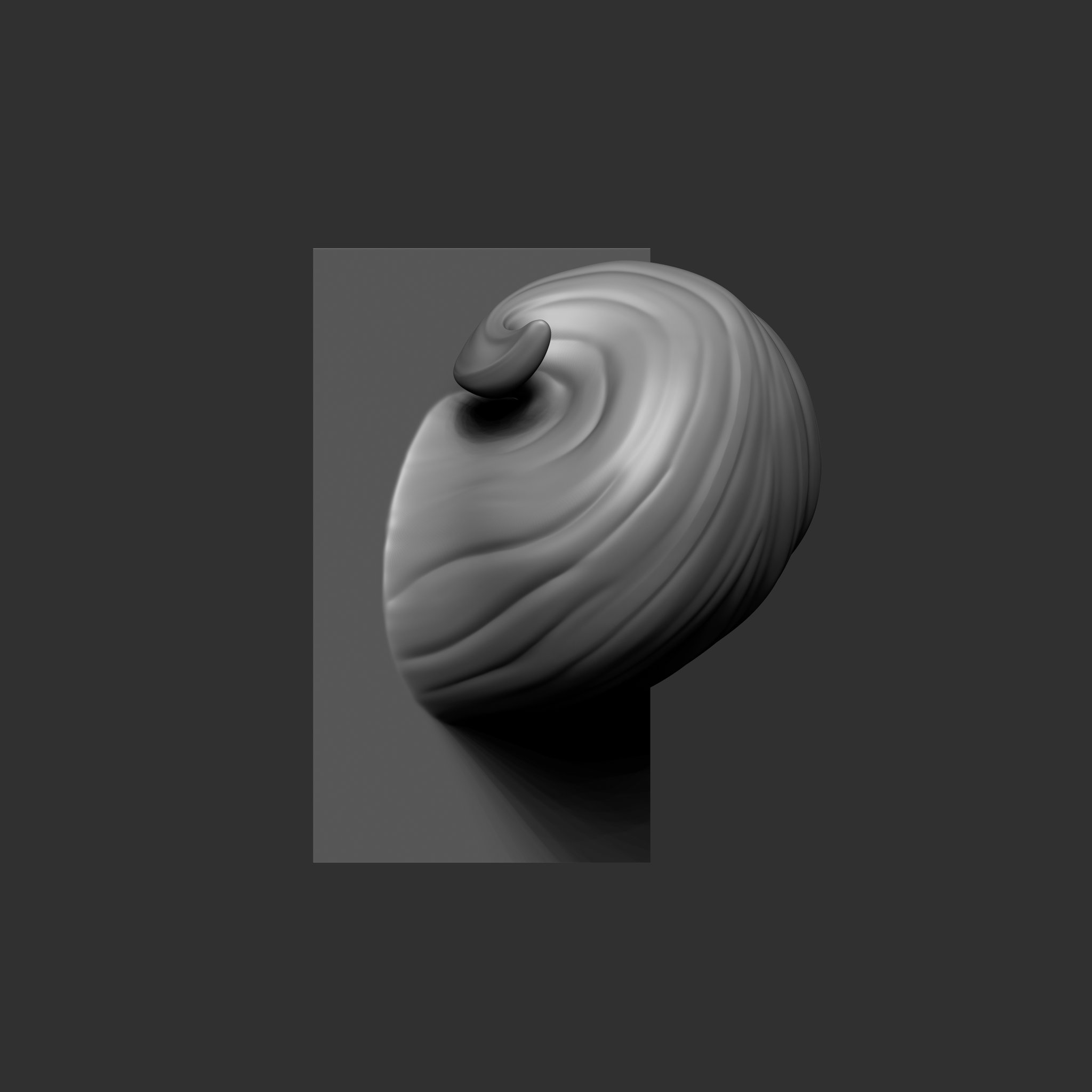 NS Stylized female hair strand curled | Human Hair & Nails brushes ...